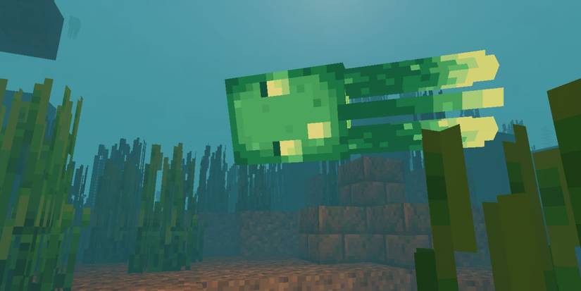 Minecraft: Everything You Need To Know About Glow Squids
