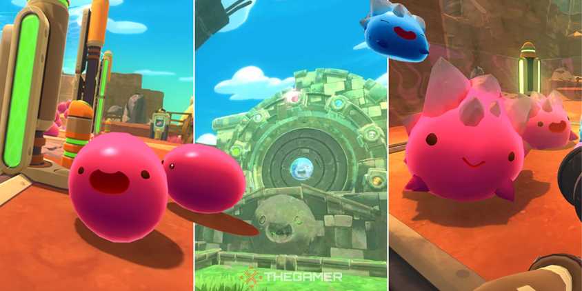 Best Largo Slime Combinations In Slime Rancher