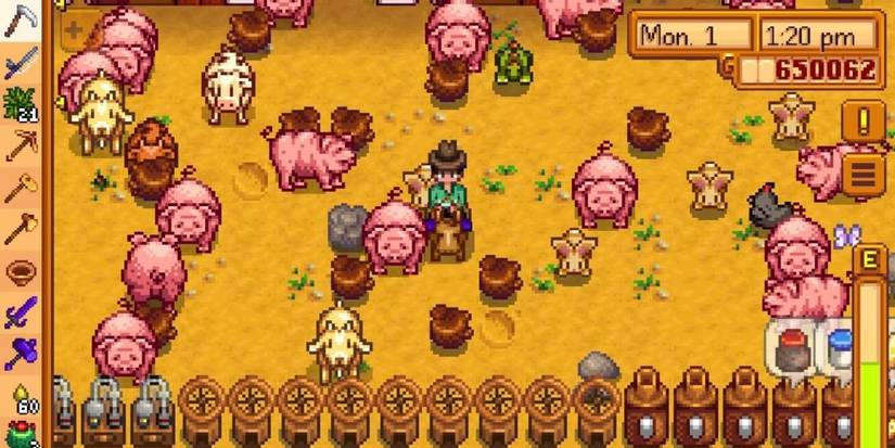 Stardew Valley: 10 Best Bundles To Complete First