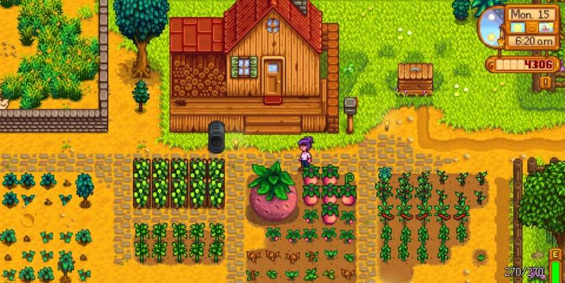 Stardew Valley: 10 Best Bundles To Complete First