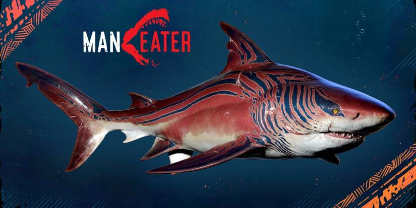 Maneater: A Guide To Body Evolutions