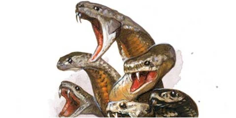 Strongest Shapechangers In Dungeons & Dragons