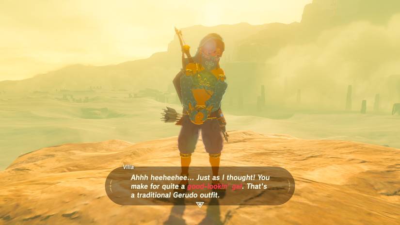 Link Is A Trans Character In Whatever Way We Want Them To Be
