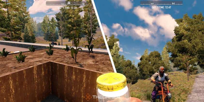 How To Survive The Burnt Forest In 7 Days To Die