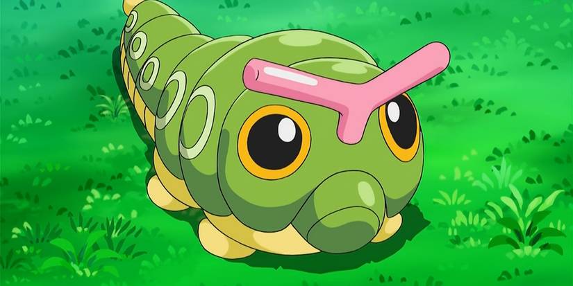 10 Pokemon That Are Just Ordinary Animals