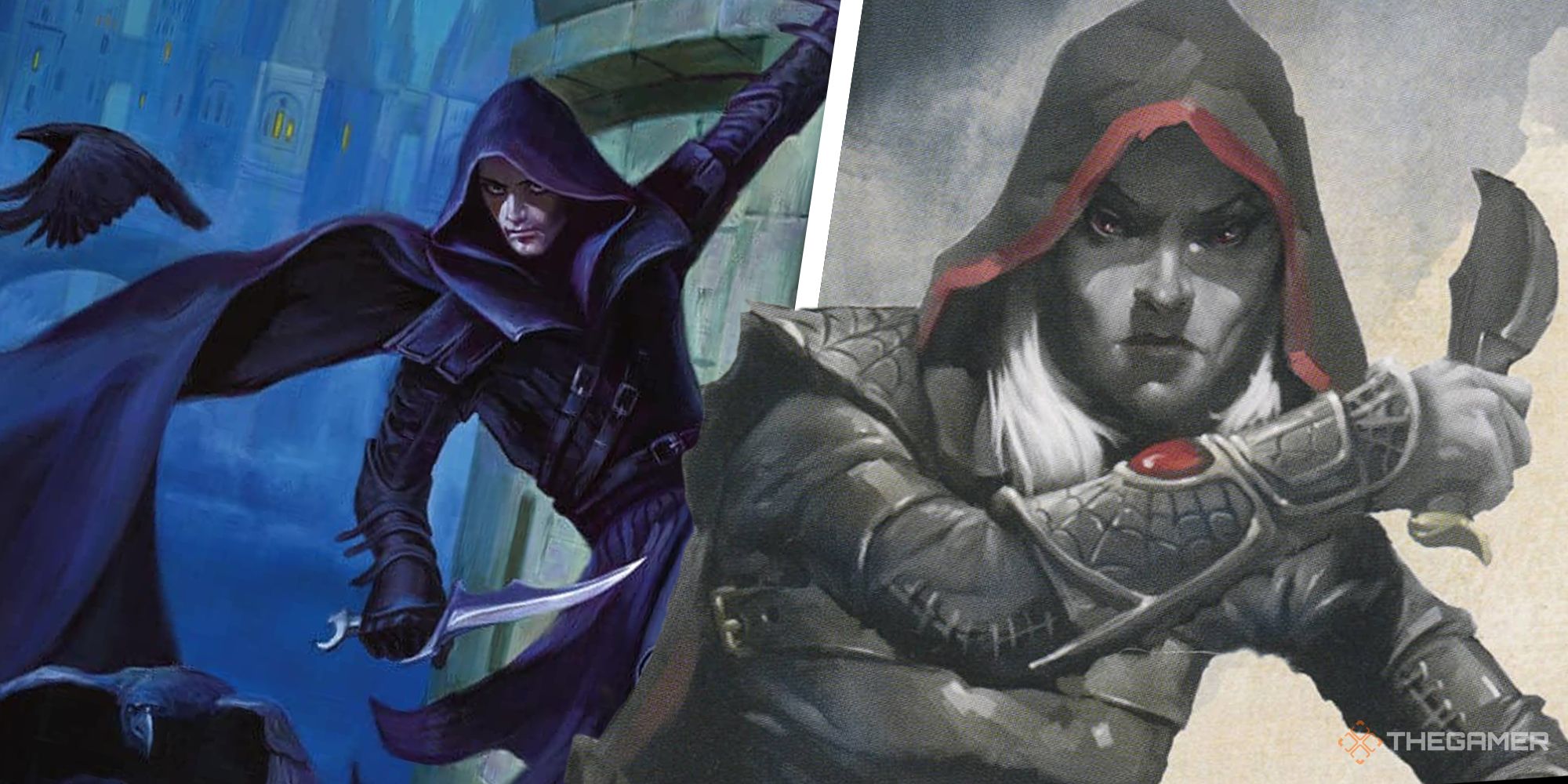 Dungeons And Dragons Rogue