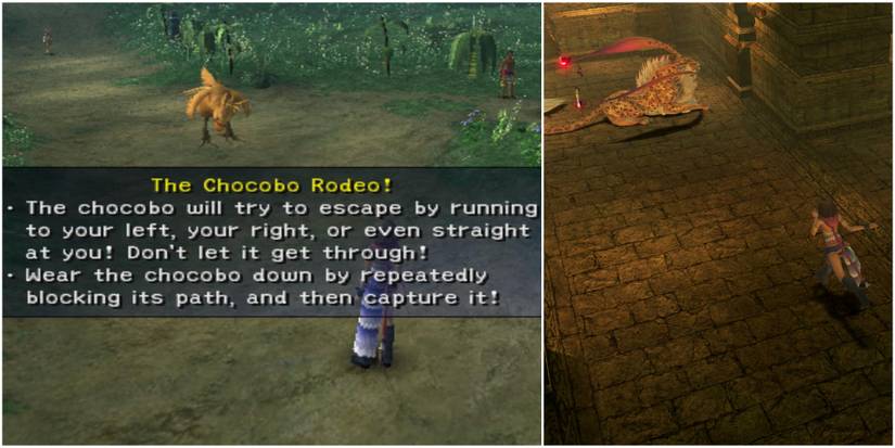Final Fantasy 10-2: How To Help Clasko Catch A Chocobo