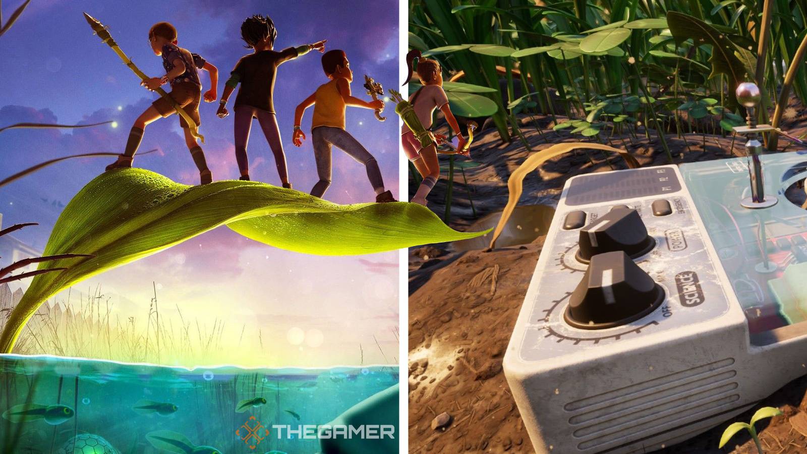 Best Places To Build A Base In Grounded
