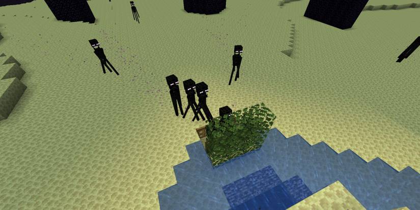 Minecraft: How To Build An Enderman Farm And Get XP Fast