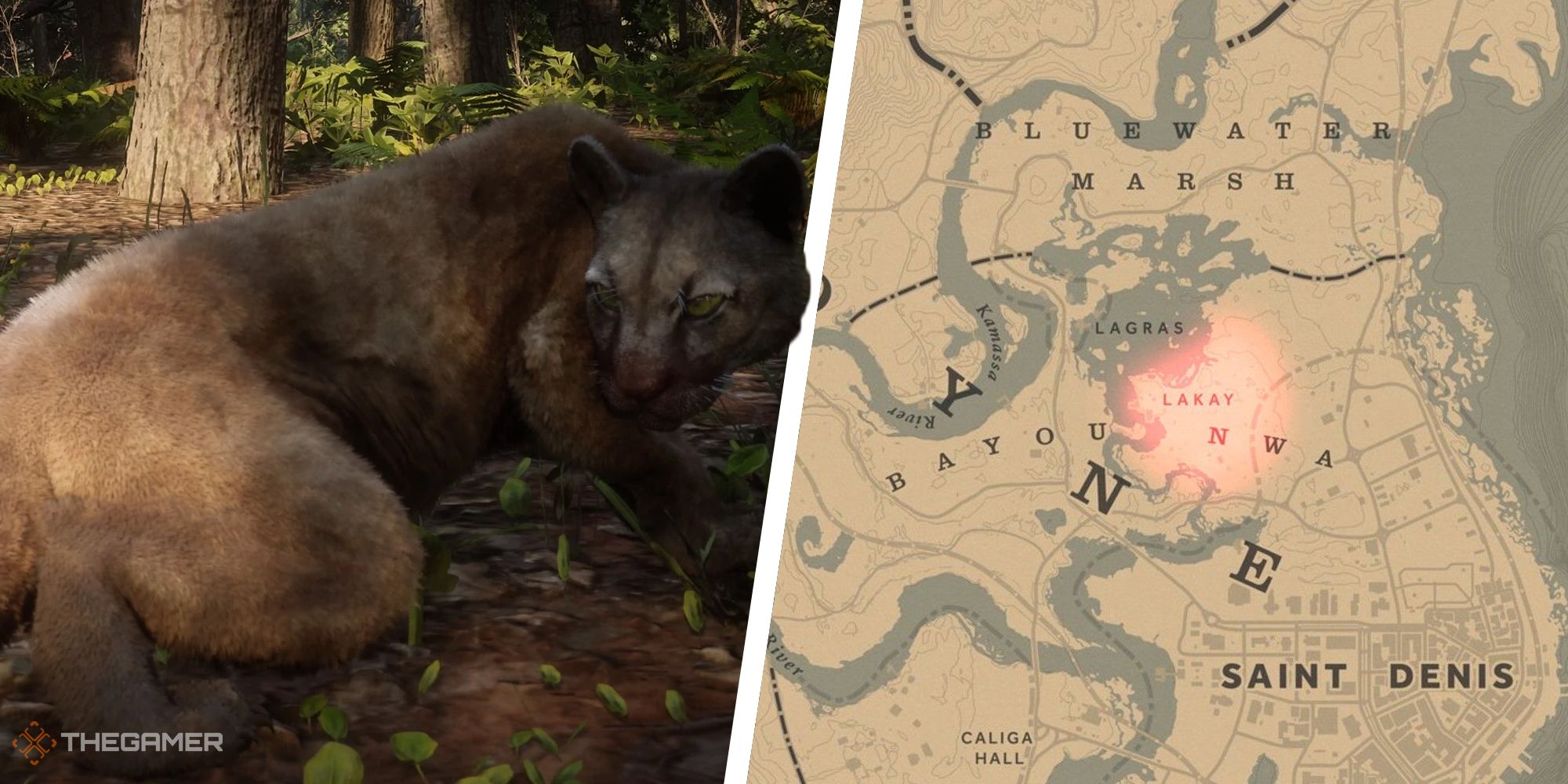 Red Dead Online: Best Locations To Hunt Panther