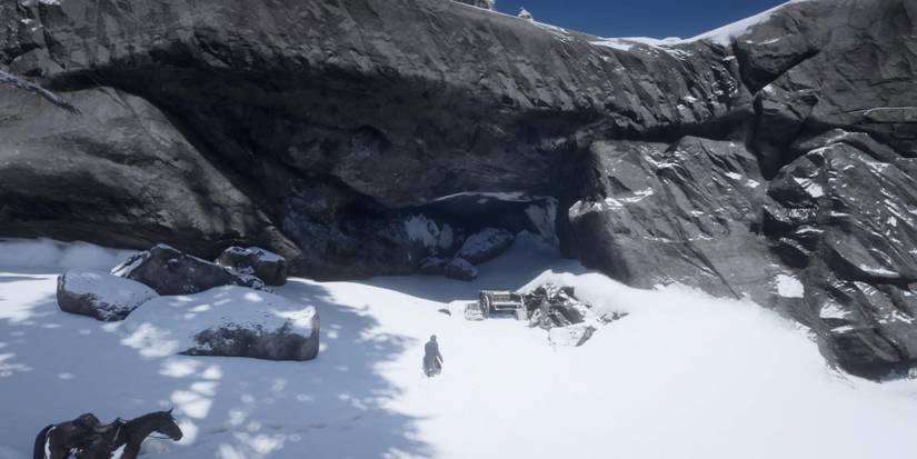 How To Get Cobalt Petrified Wood In Red Dead Redemption 2