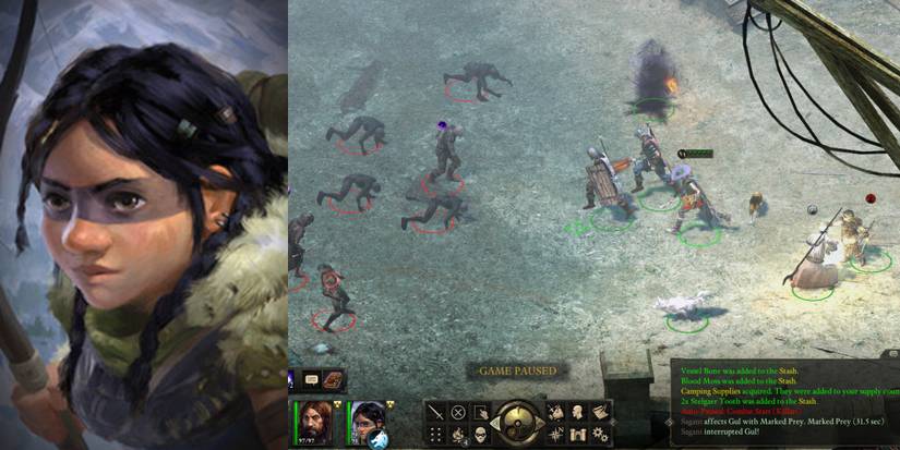 Pillars Of Eternity: Every Companion Ranked