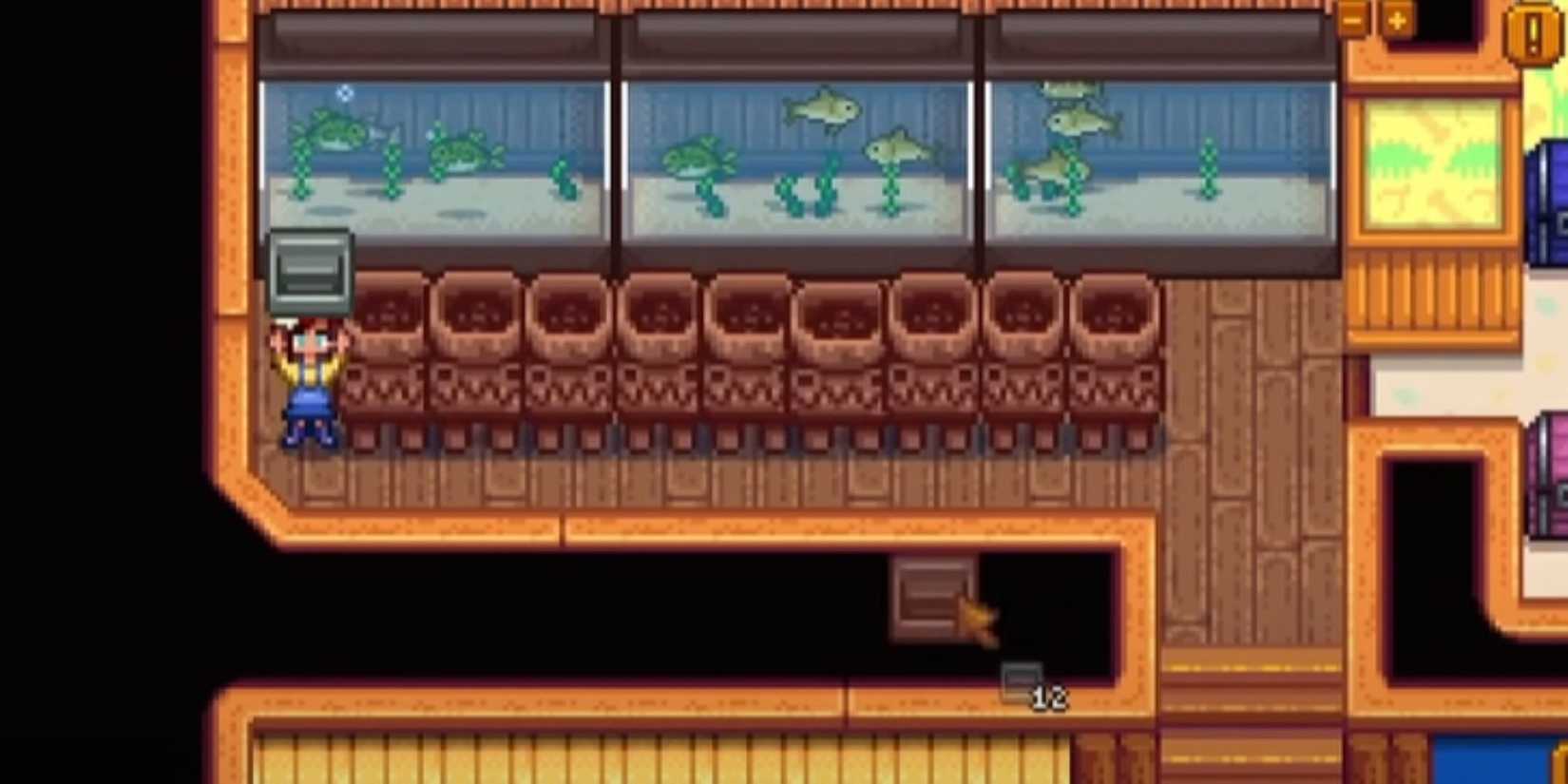 Best Uses for Hoppers In Stardew Valley