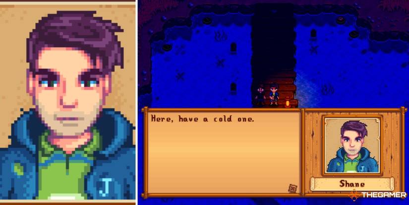 How To Date And Marry Shane In Stardew Valley