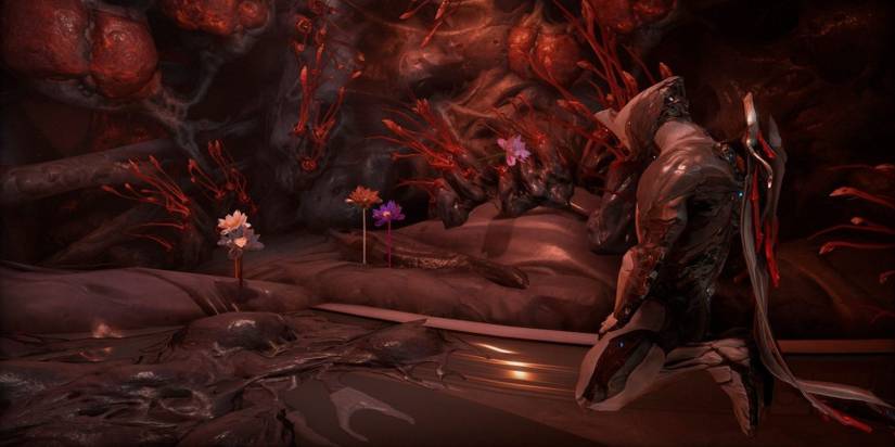 Warframe: Helminth System Guide