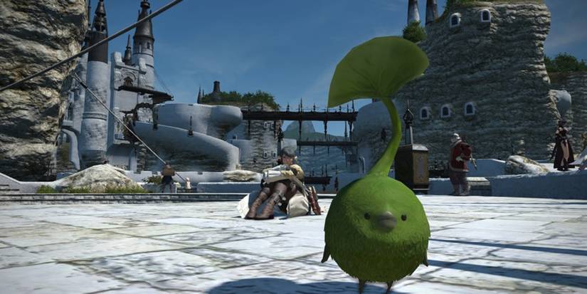 Final Fantasy 14: Guide To All Minions In Dungeons
