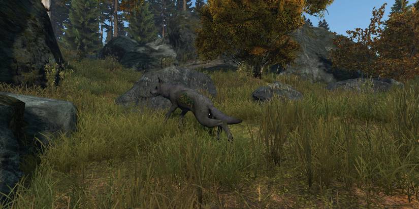 The Best DayZ Mods, Ranked