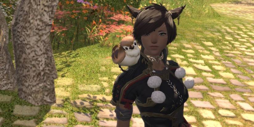 Final Fantasy 14: Guide To All Minions In Dungeons