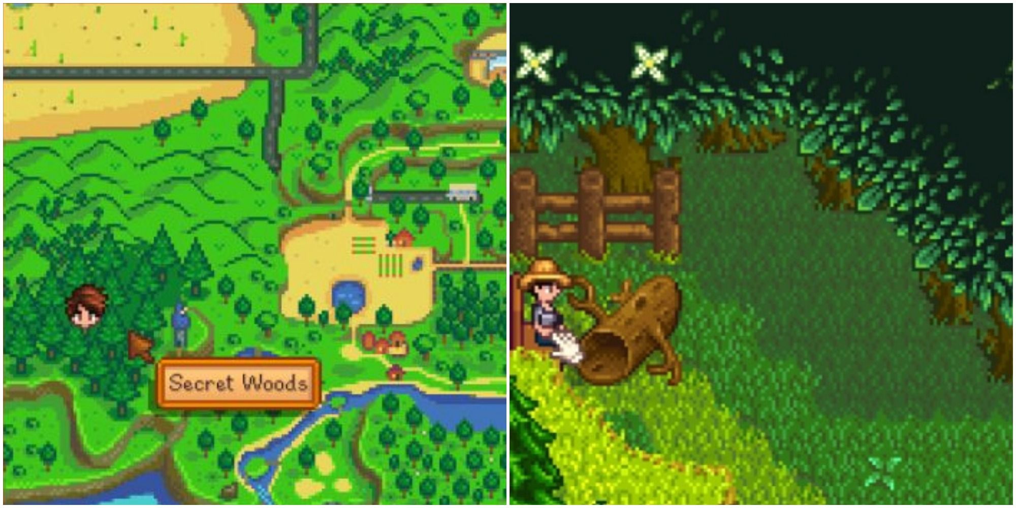 How To Access The Secret Woods Early In Stardew Valley