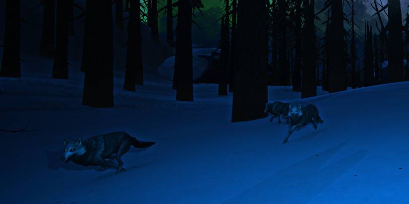The Long Dark: Best Clothing For Different Builds