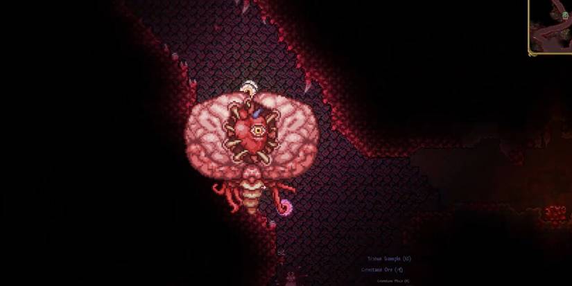 Terraria: Brain Of Cthulhu Boss Guide