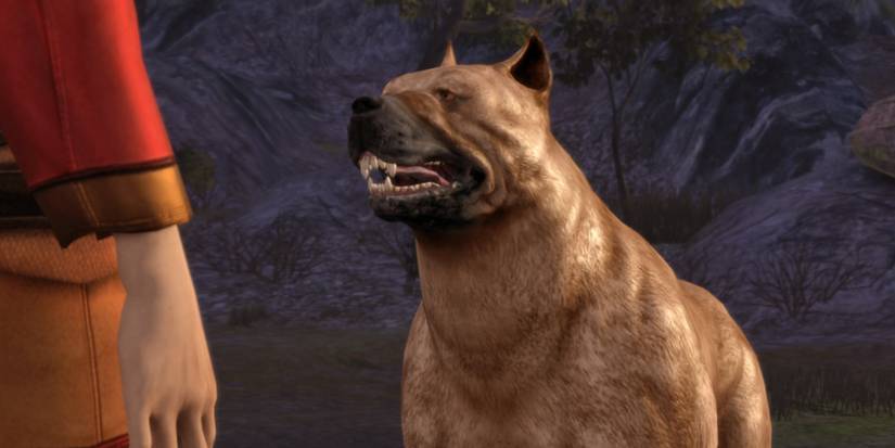 A Complete Gift Guide For Dragon Age: Origins