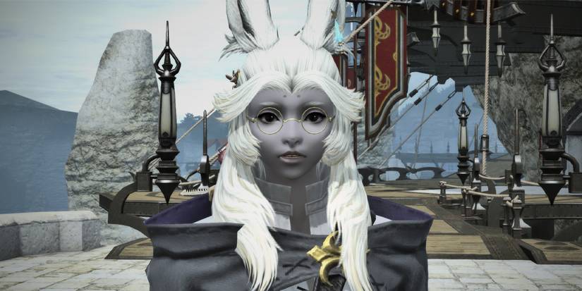 15 Of The Best Custom Characters Made In Final Fantasy 14