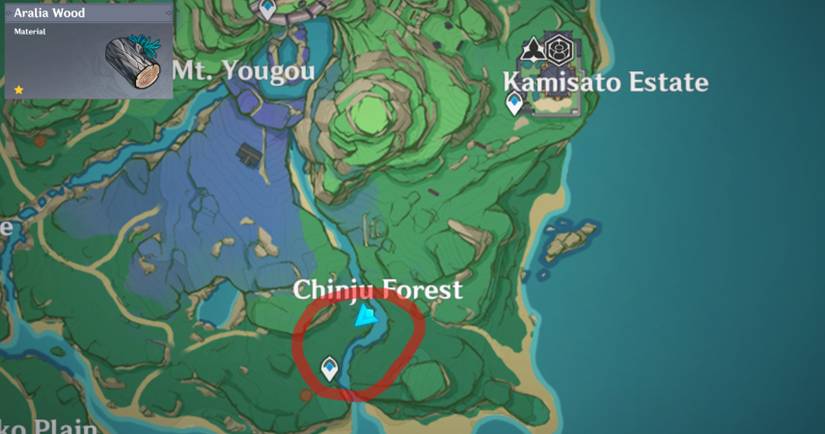 Genshin Impact: Where To Find All Wood Types