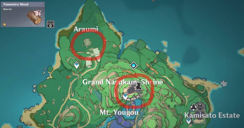 Genshin Impact: Where To Find All Wood Types