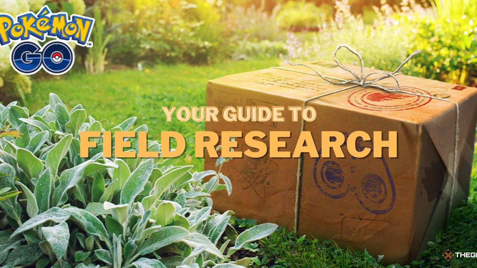 Everything You Need To Know About Field Research In POGO