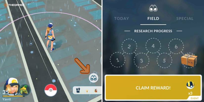 Everything You Need To Know About Field Research In POGO