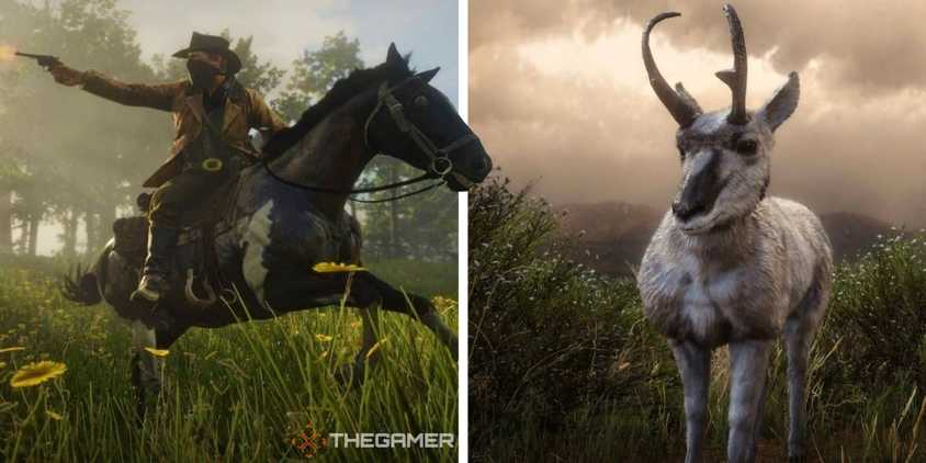 The Best Cheat Codes In RDR2