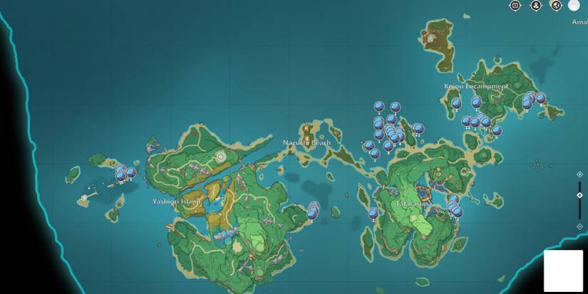 Genshin Impact: Sea Ganoderma Locations