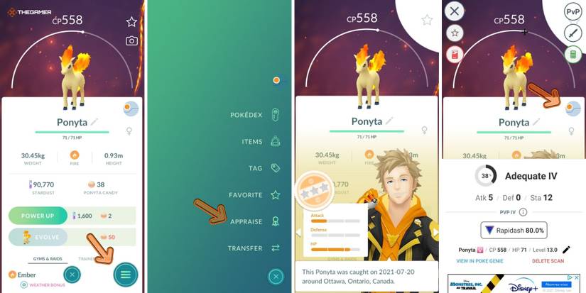 Everything You Need To Know About Poke Genie