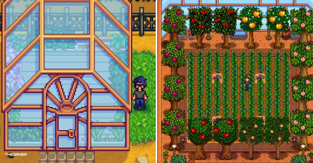 Sprinkler Layout Stardew Valley Greenhouse