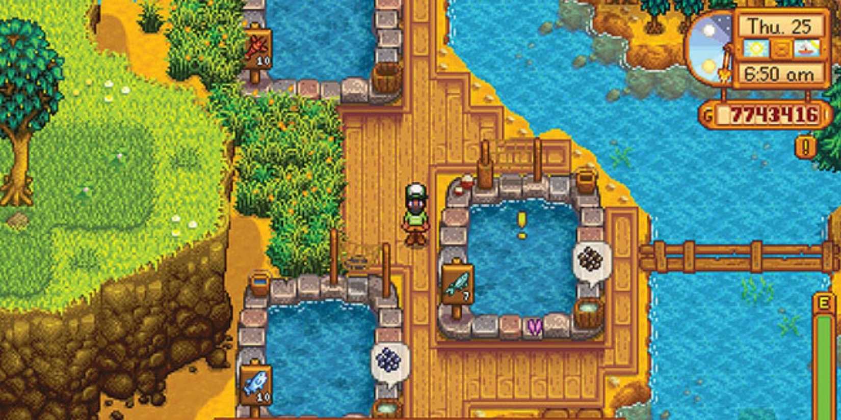 Stardew Valley: A Complete Guide To Fish Ponds
