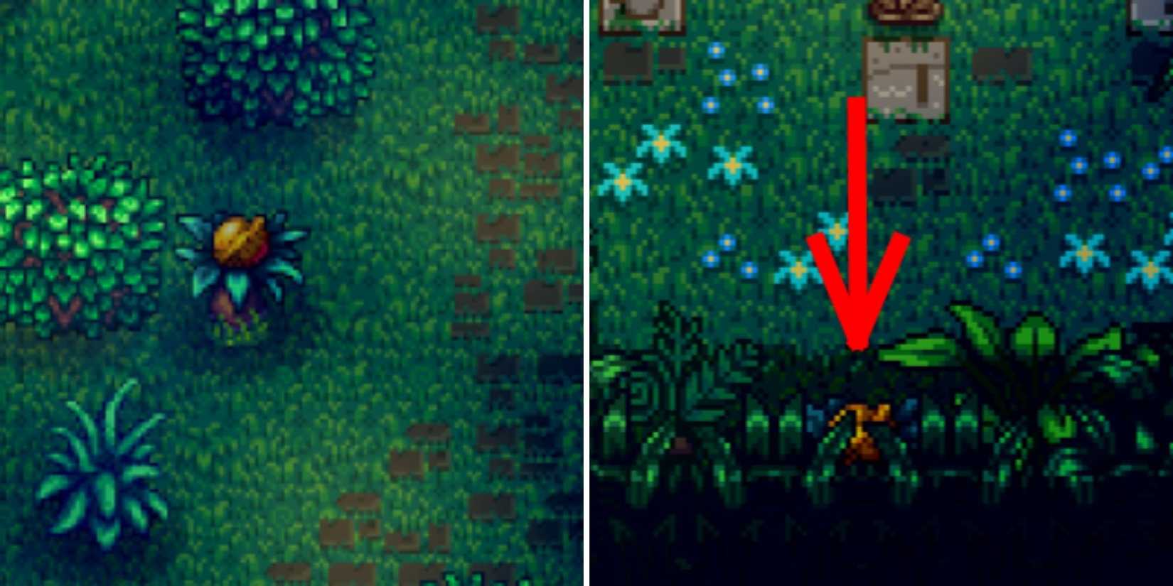 Every Golden Walnut Location In Stardew Valley