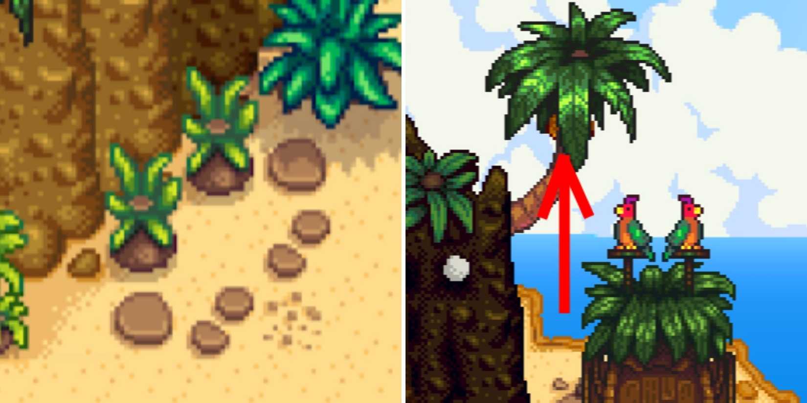 Every Golden Walnut Location In Stardew Valley