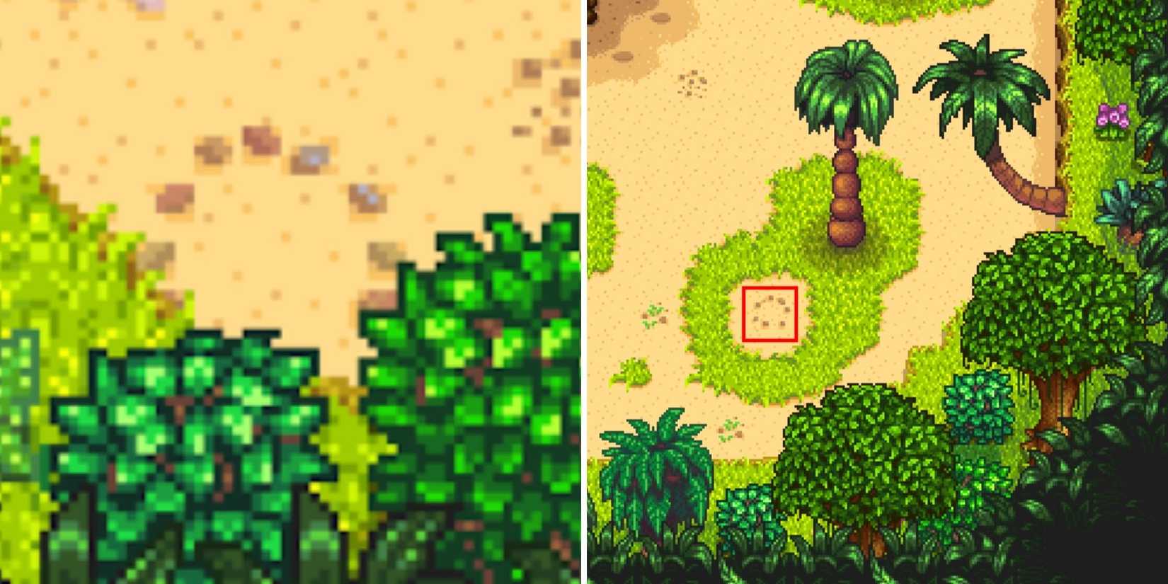 Every Golden Walnut Location In Stardew Valley