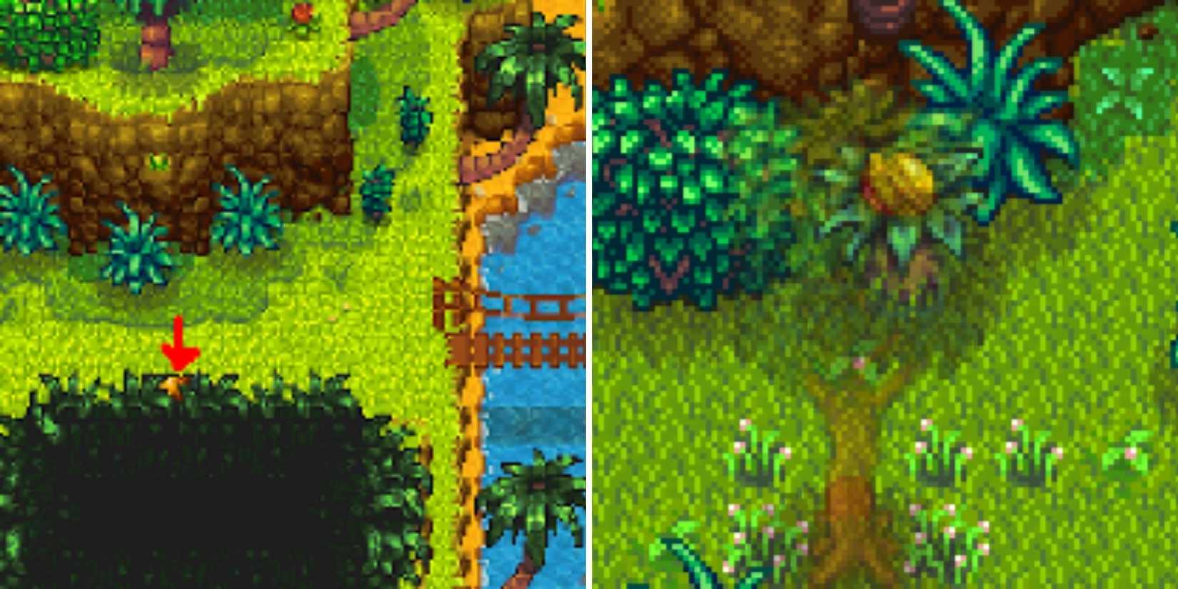 Every Golden Walnut Location In Stardew Valley