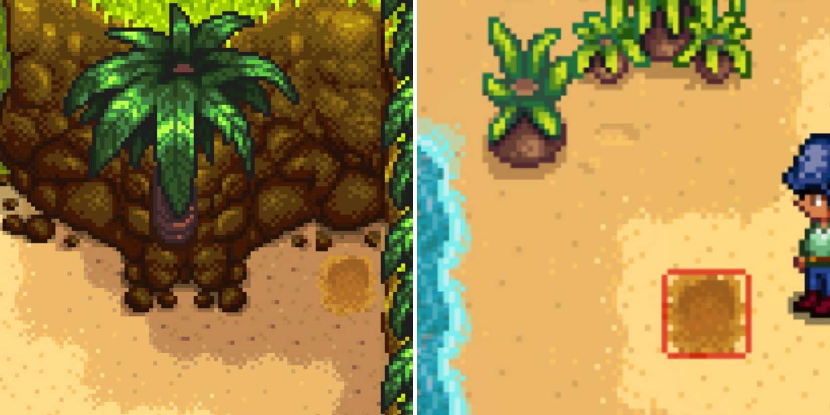 Every Golden Walnut Location In Stardew Valley