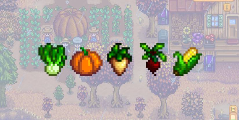 All Universal Likes In Stardew Valley
