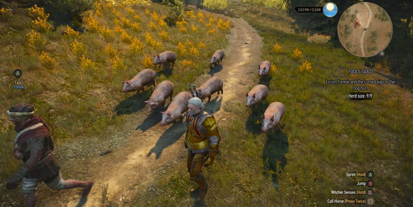 The Witcher 3: Fools' Gold Quest Walkthrough