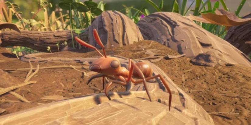 termite worker grounded