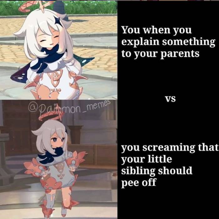 Genshin Impact: 13 Paimon Memes That Are Too Funny