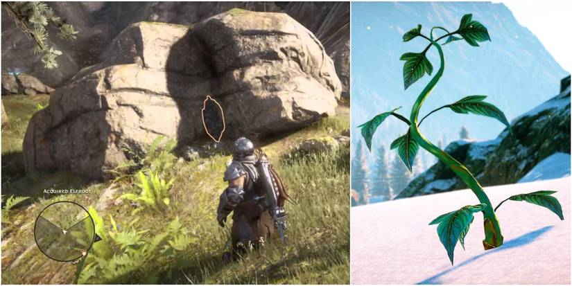 Dragon Age Inquisition: 14 Most Useful Things You Can Buy From A ...