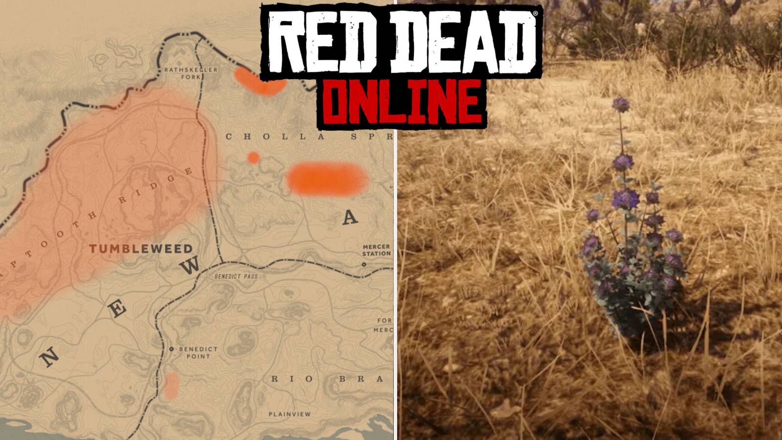 Where To Find Desert Sage In Red Dead Online