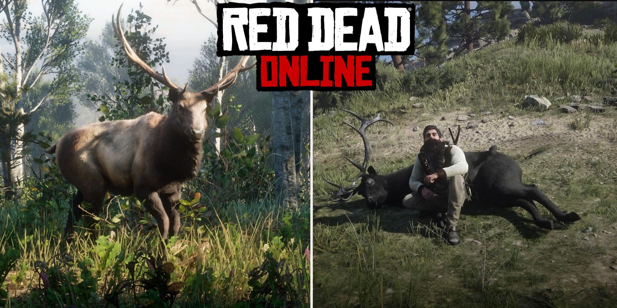 Red Dead Online: Best Elk Hunting Locations