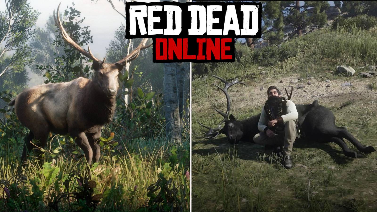 Red Dead Online: Best Elk Hunting Locations