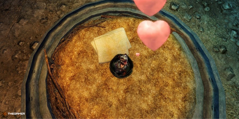 How To Get A Skyscale Mount In Guild Wars 2